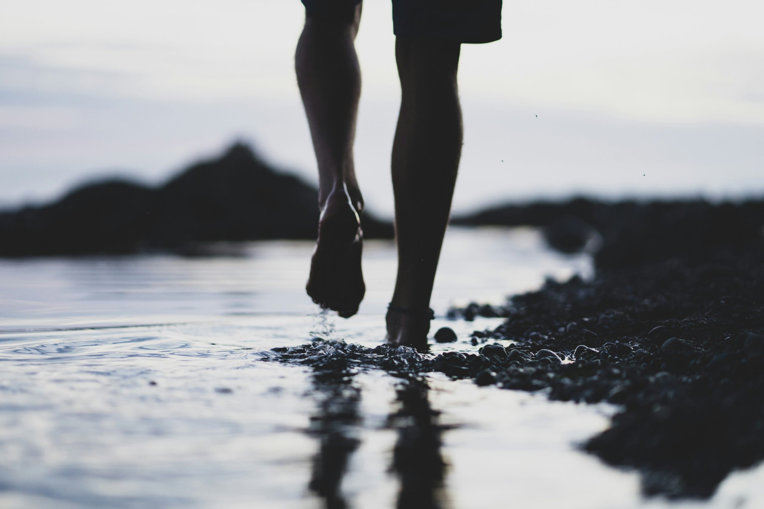 We Leave No Footprints - Govert van Ginkel